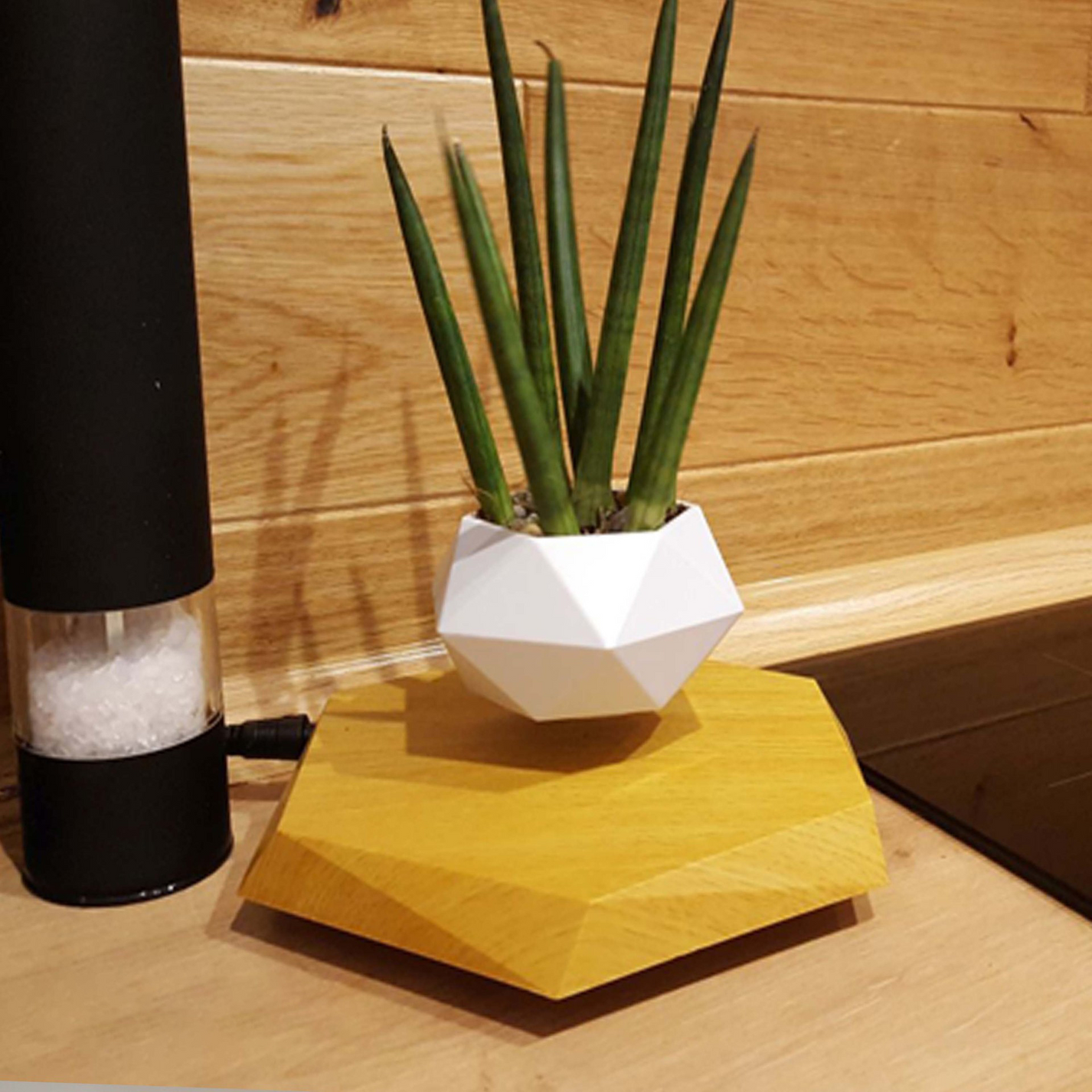 Floating Plant Pot- GNRC Designs