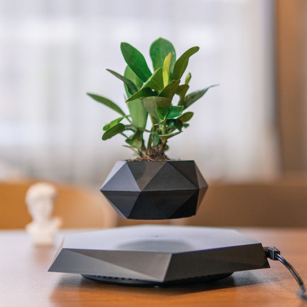 Floating Plant Pot- GNRC Designs